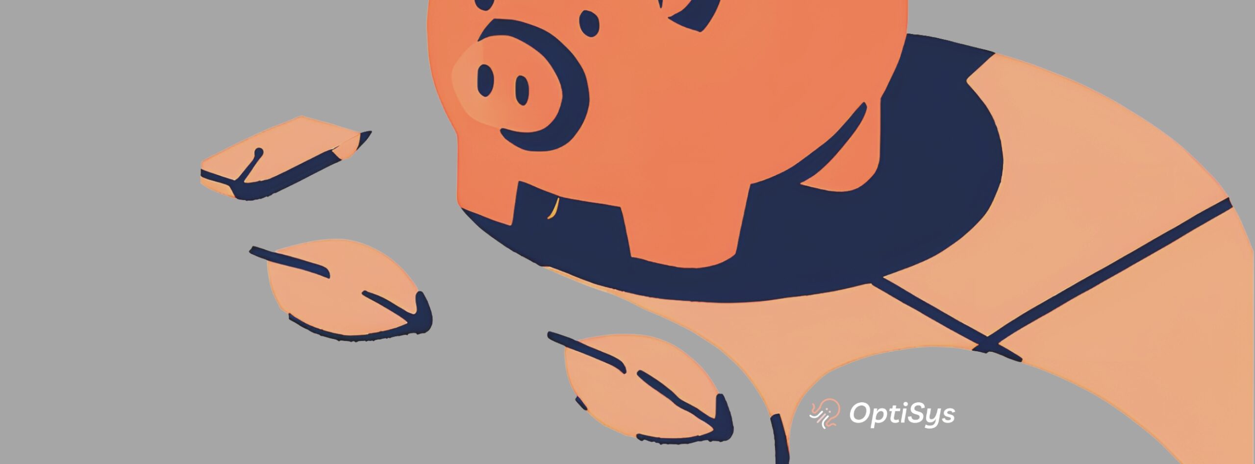 The Hidden Costs Of Erp Implementation Optisys